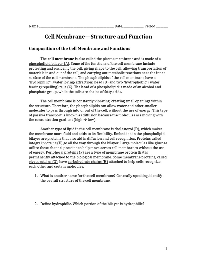 Worksheet. Cell Membrane Structure and Function | PDF