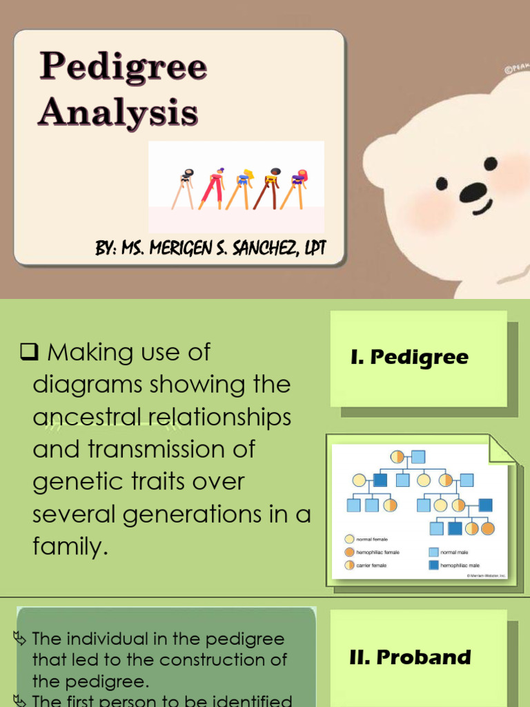 Understanding Pedigree Analysis and Genetics | PDF | Dominance ...