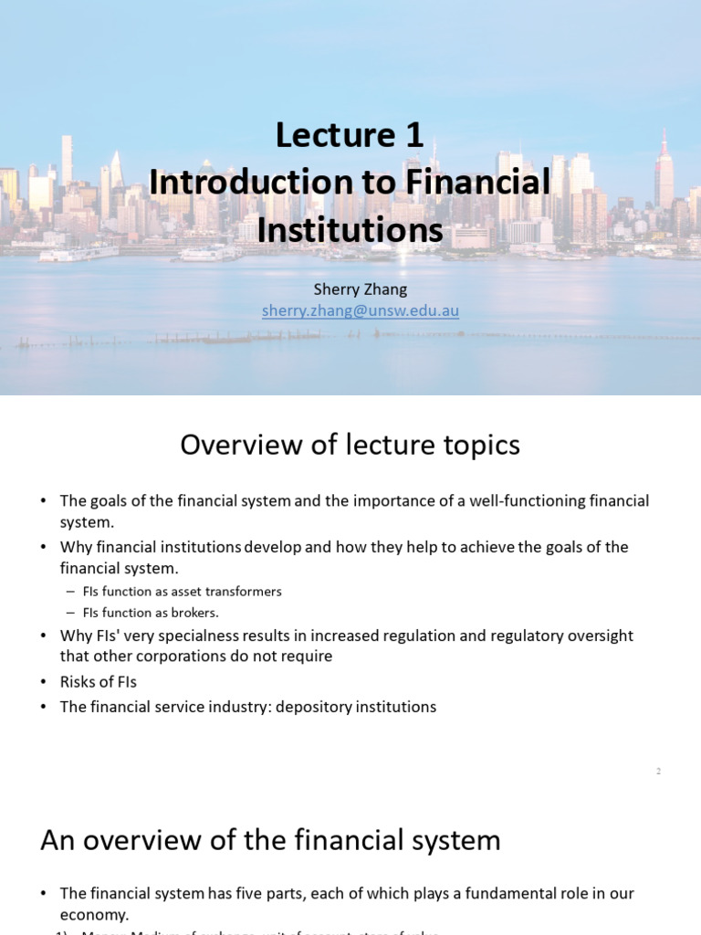 Lecture 1 Introduction to Financial Institutions | PDF