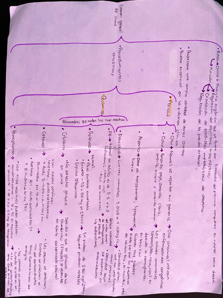 Ev. 1 - Bioca Clínica | PDF