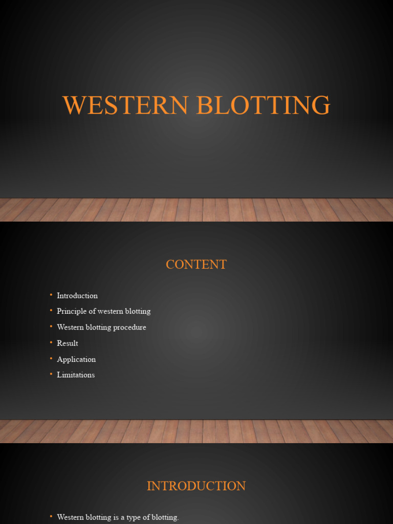 Western Blotting | PDF | Western Blot | Blot (Biology)