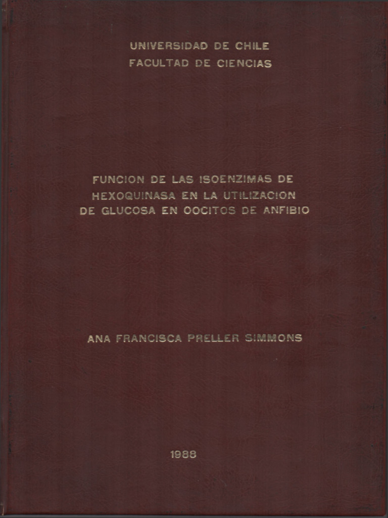 A. Preller 1988 | PDF
