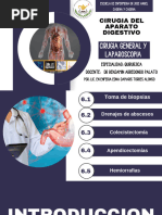 Sigmoidectomía Laparoscópica: Técnica y Equipo | PDF | Intestino grueso ...