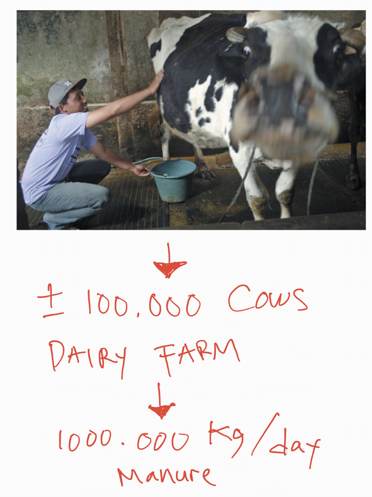 DFC Action Plan | PDF