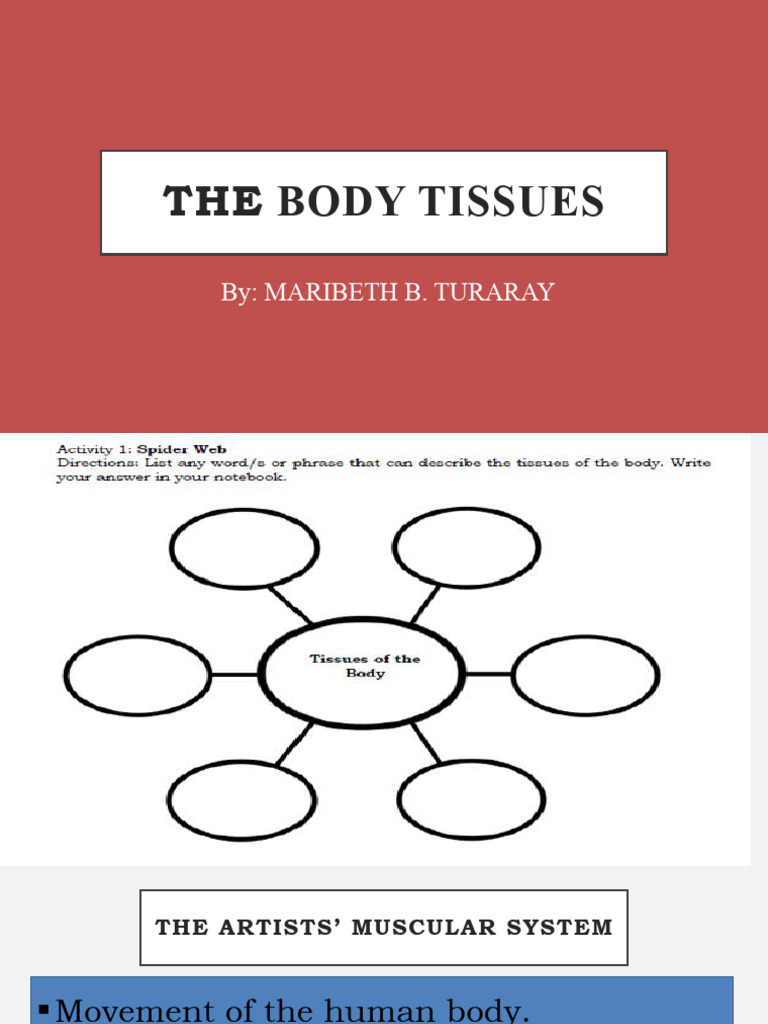 q1 Lesson 2 The Body Tissues | PDF | Anatomical Terms Of Motion | Muscle