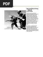 Waffen-SS Ranks and Insignia Guide | PDF | Nazi War Crimes | The Holocaust