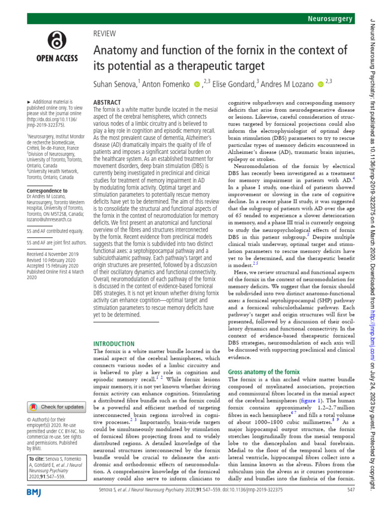 Anatomy and Function of The Fornix in The Context of Its Potential As A | PDF | Hippocampus ...