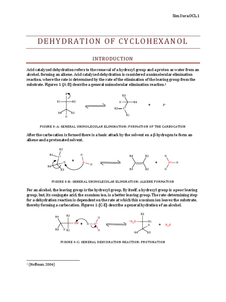 Sim, Y - Dehydration of Cyclohexanol | Chemical Reactions | Acid