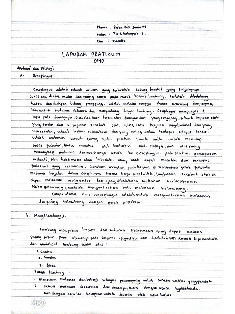 Tugas - Omd Dan Appendicography Bu Intan | PDF