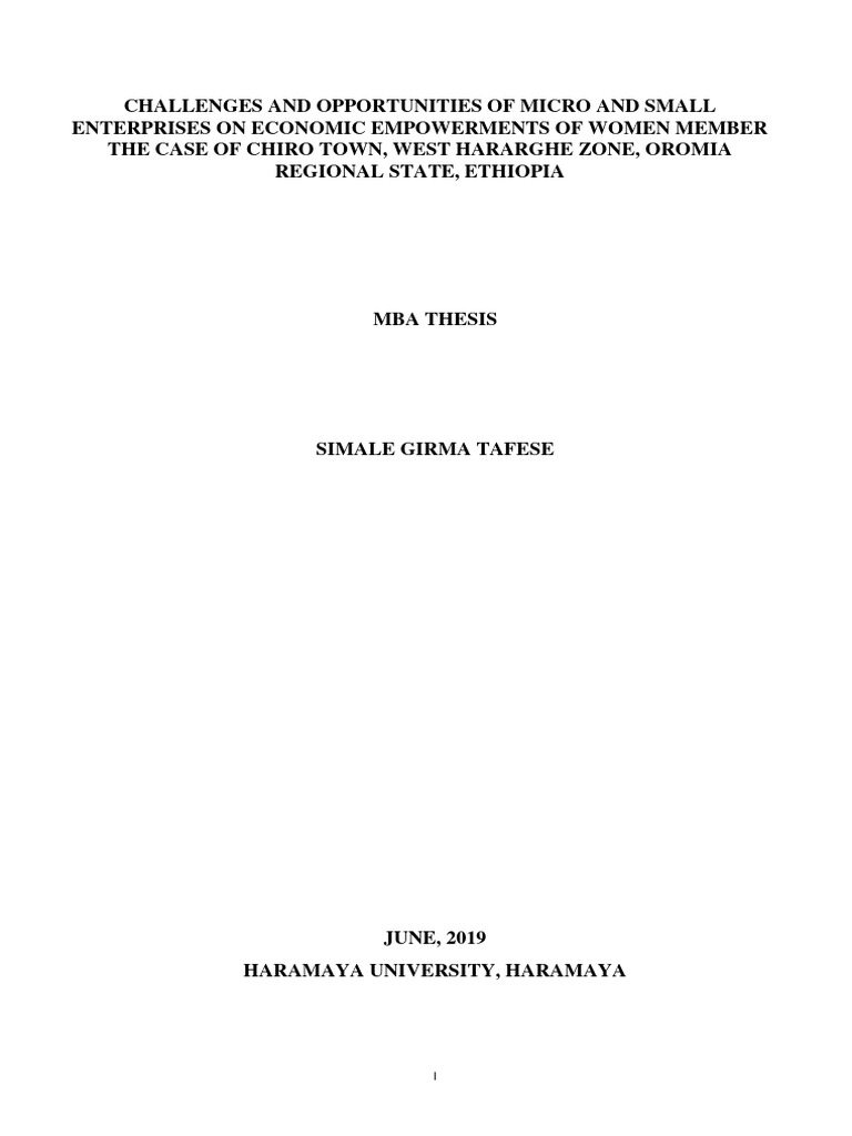 Simale Girma | PDF | Thesis | Employment