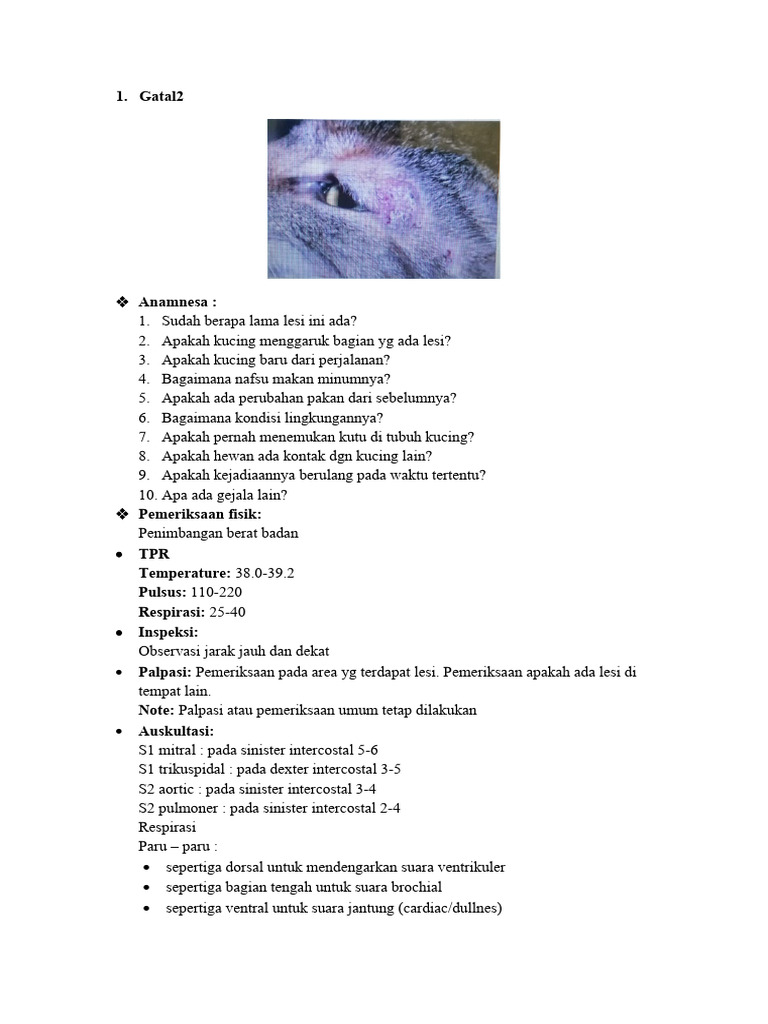 RINGWORM | PDF | Sains & Matematika