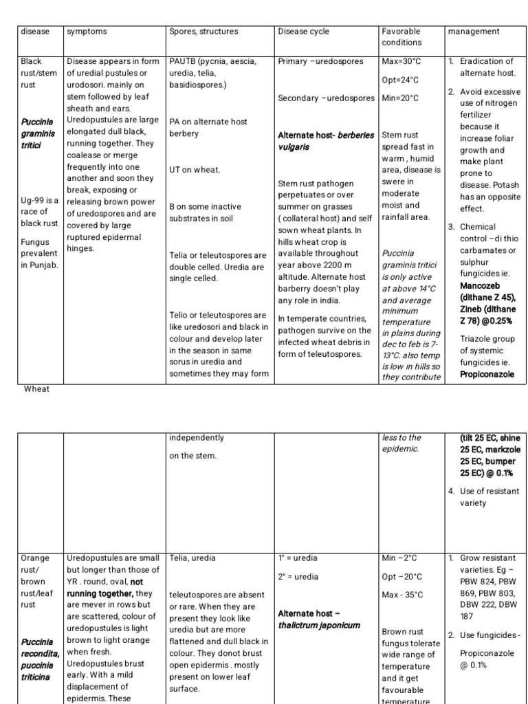 Patho 302 Full | PDF