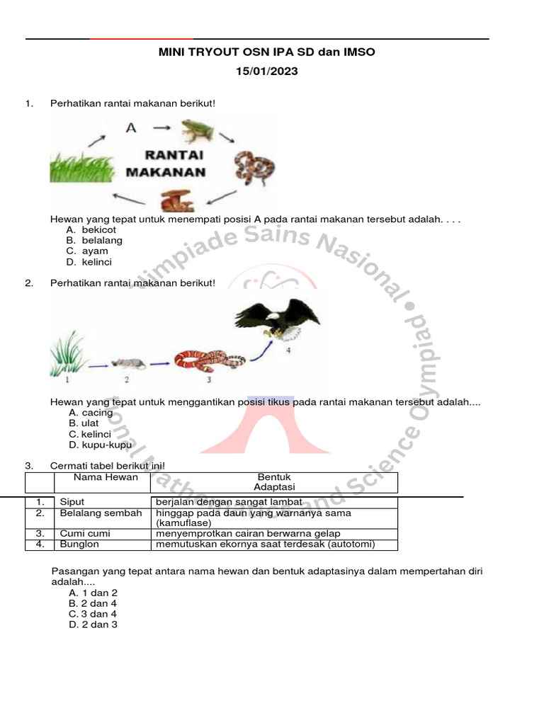 Mini Tryout 15 Januari 2023 Osn Ipa SD Dan Imso | PDF