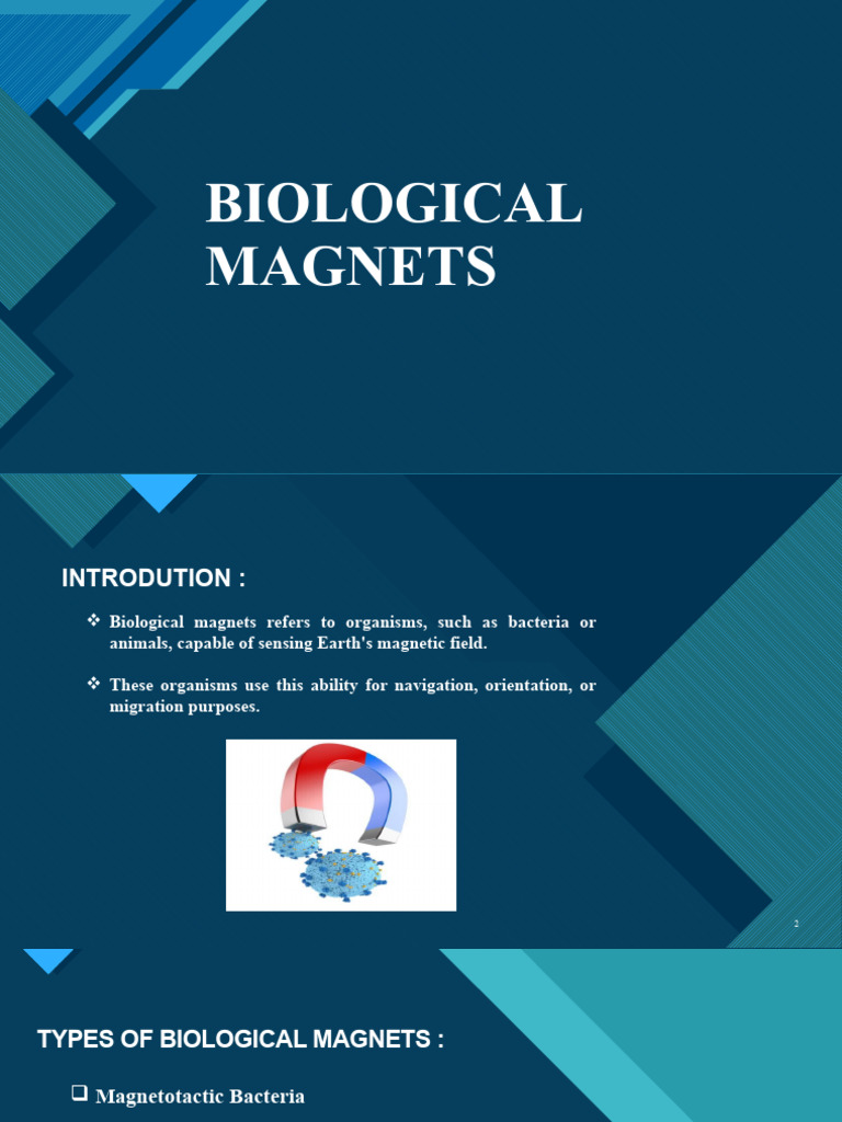 Biological Magnets | PDF