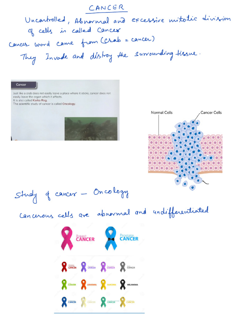 Cancer - | PDF | Cancer | Cell (Biology)