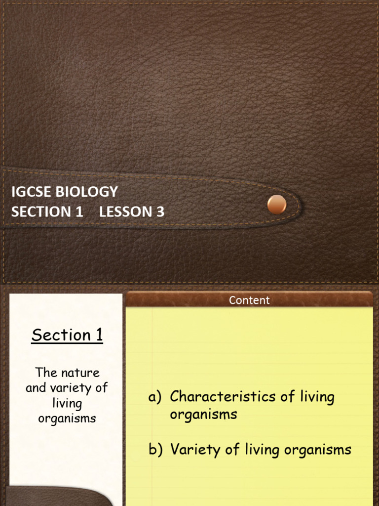 Biology VII Section 1 Lesson 3 Variety of Living Things (Microorganisms ...