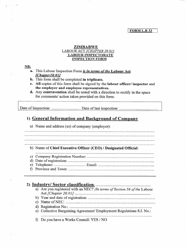 Labor Inspectorate Inspection Form | PDF
