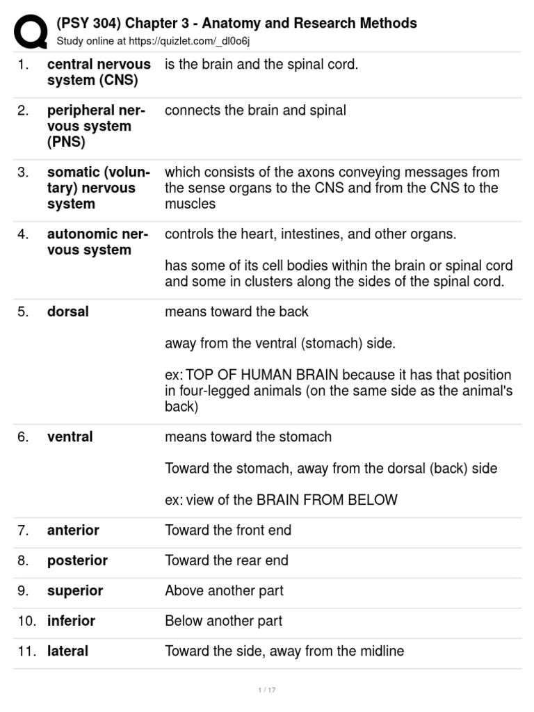 (PSY 304) Chapter 3 - Anatomy and Research Methods | PDF | Cerebral Cortex | Spinal Cord