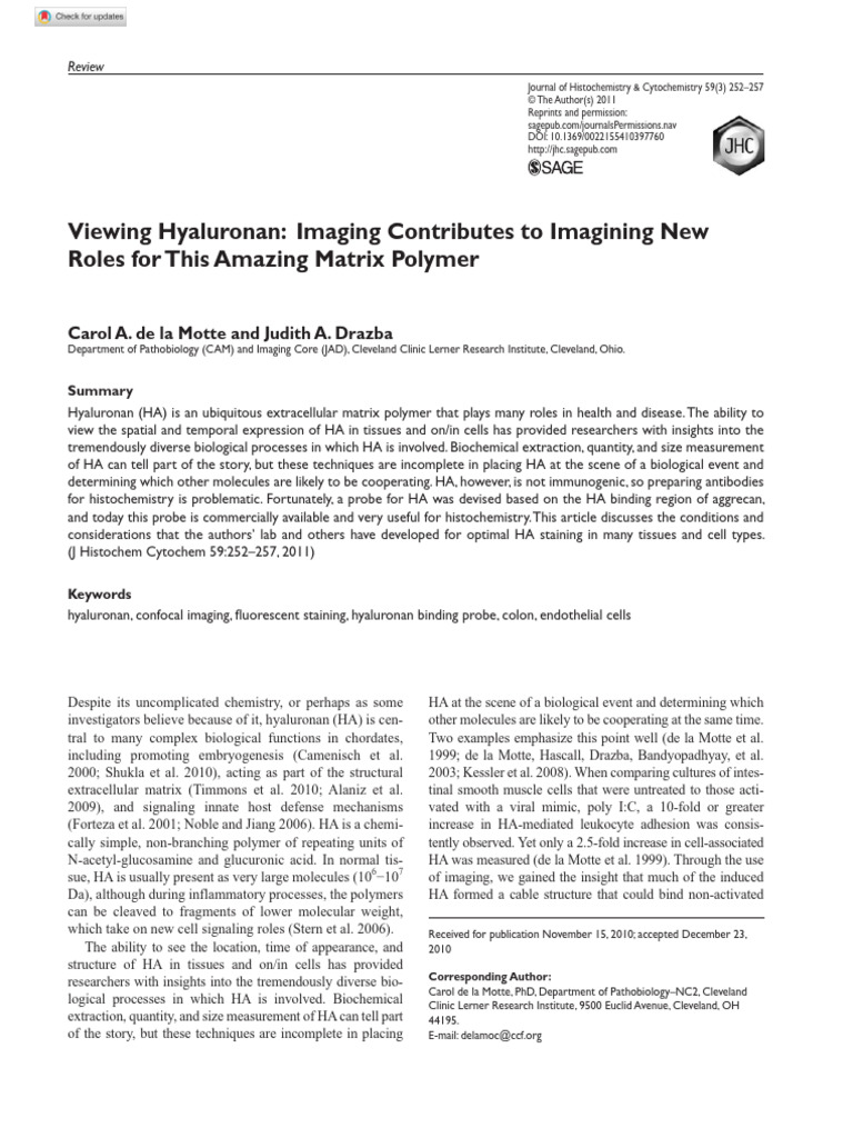 Viewing Hyaluronan Imaging Contributes To Imagining New | PDF ...