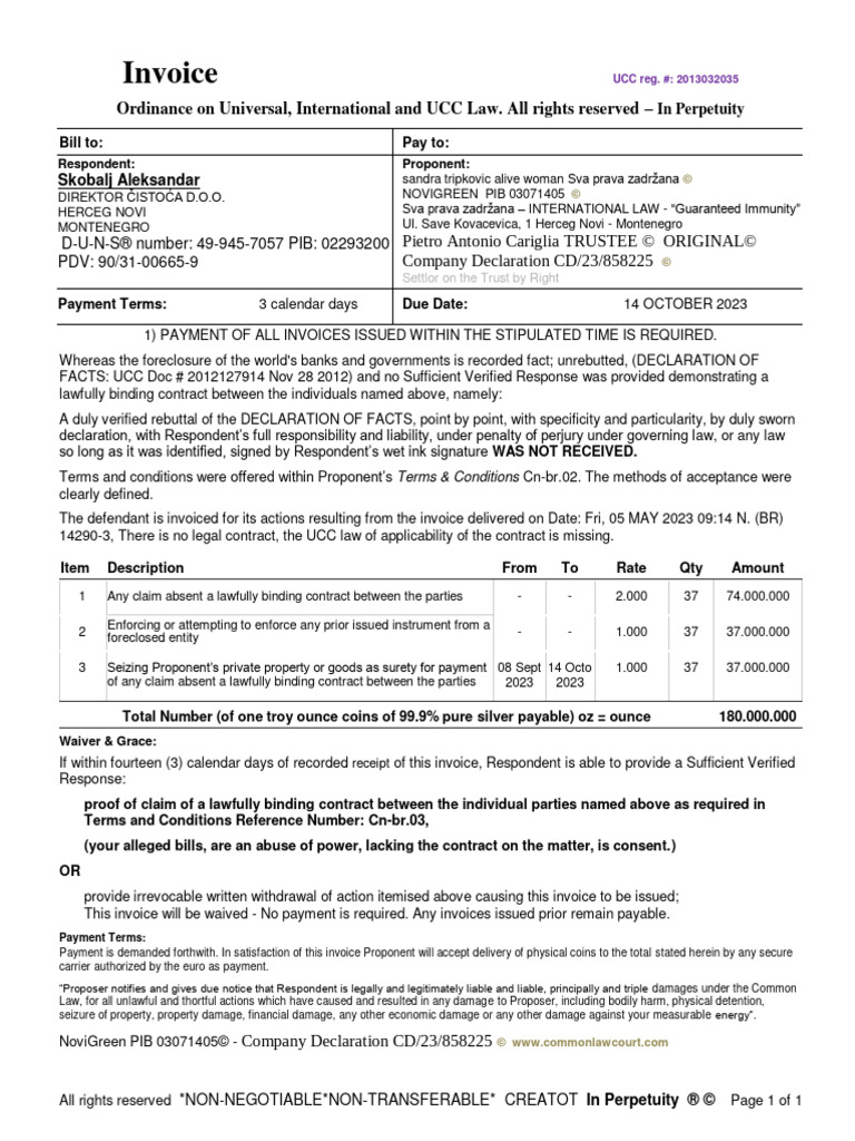 OPPT Invoice Invoice Director CISTOCA DOO 14.10.2023 | PDF | Private ...