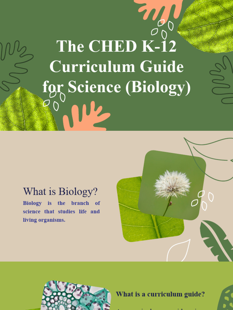 CHED K-12 Biology Curriculum Guide | PDF