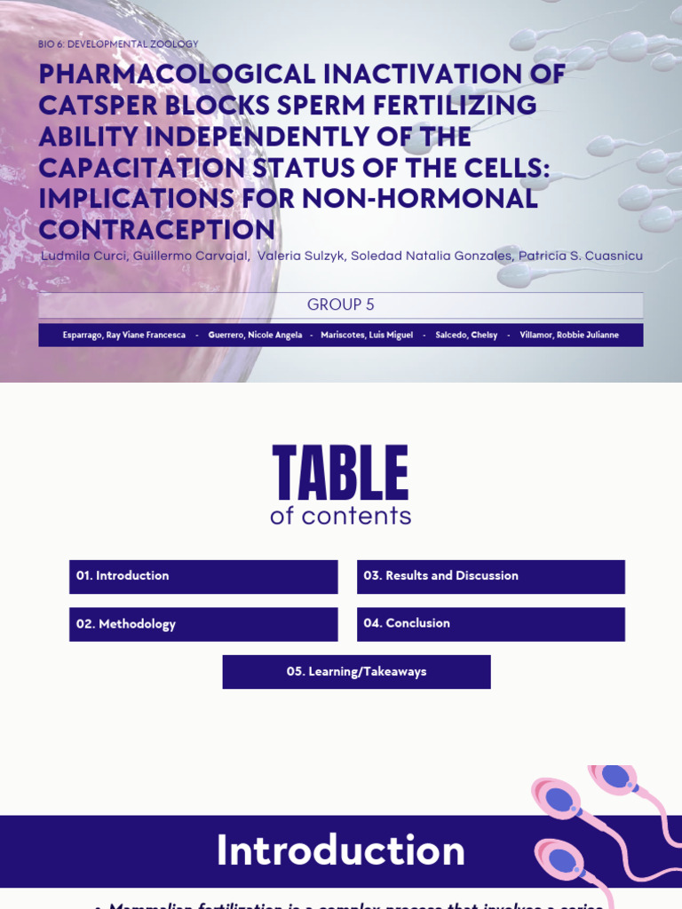 Lecture Group 5 PPT | PDF