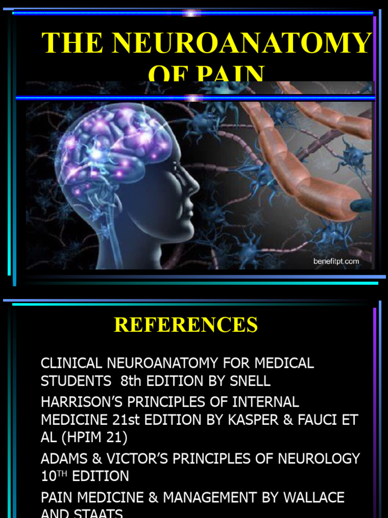 Neuroanatomy of Pain | Download Free PDF | Pain | Stimulus (Physiology)