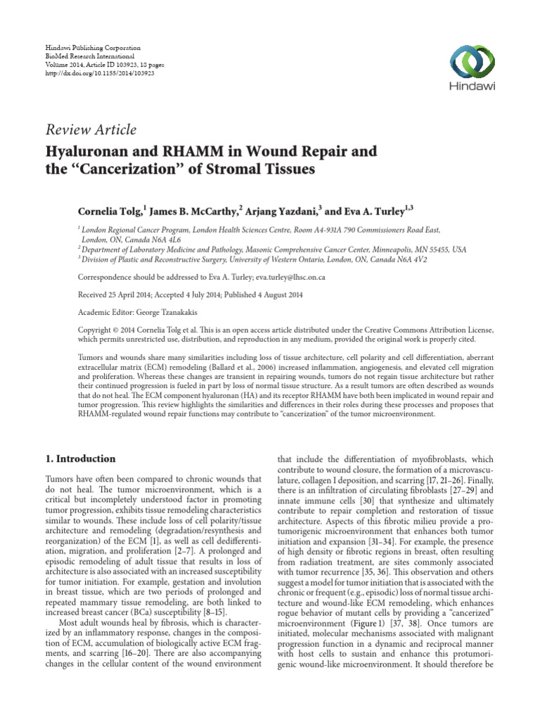 Hyaluronan and RHAMM in Wound Repair and | PDF | Wound Healing | Cell ...