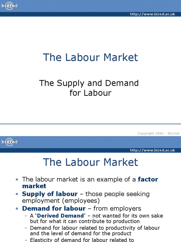 The Labour Market Supply and Demand | Download Free PDF | Labour ...