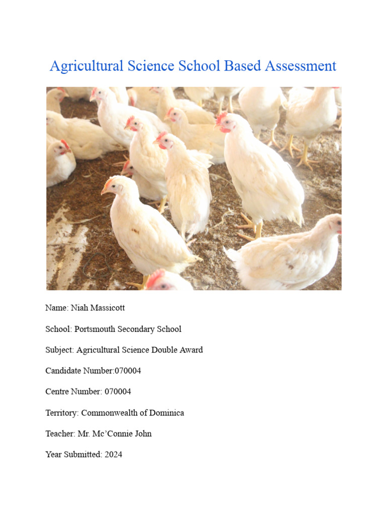 Agriculture Broiler Sba | PDF | Broiler | Poultry Farming