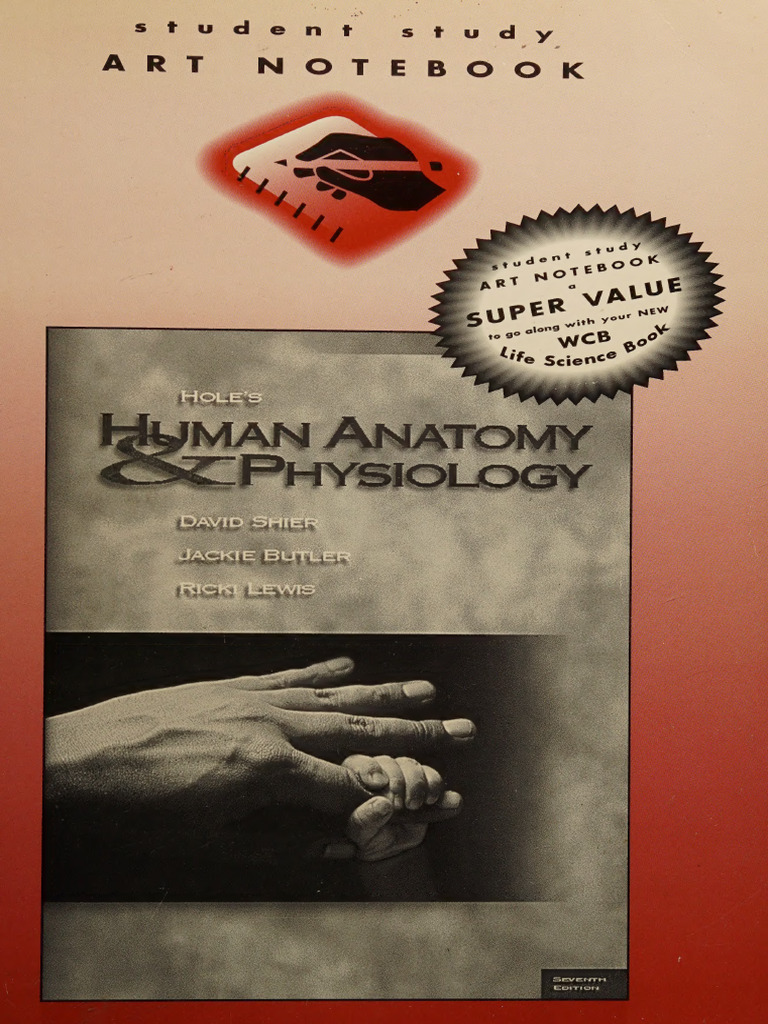 Student Study Art Notebook, Holes Human Anatomy and Physiology ...