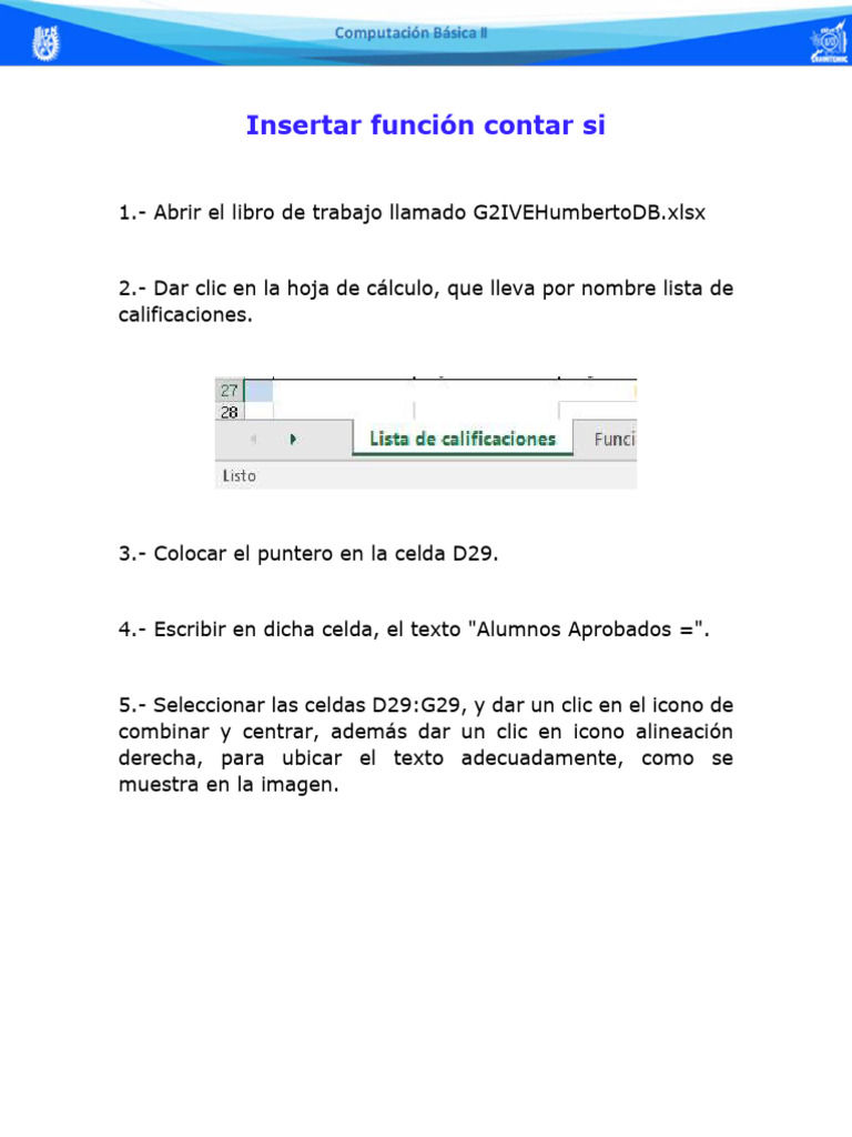 Insertar Función Contar Si | PDF