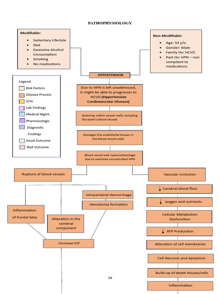 Pathophysiology Final | PDF | Blood Vessel | Human Diseases And Disorders