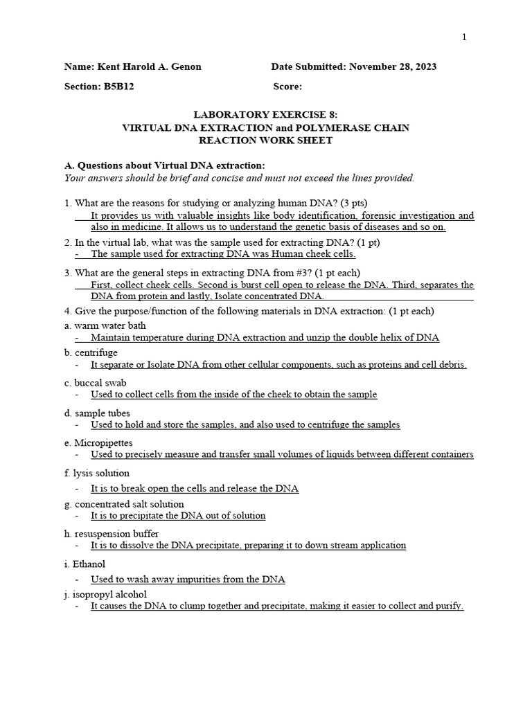 BIO107 Laboratory Exercise 8 | PDF | Polymerase Chain Reaction | Primer ...