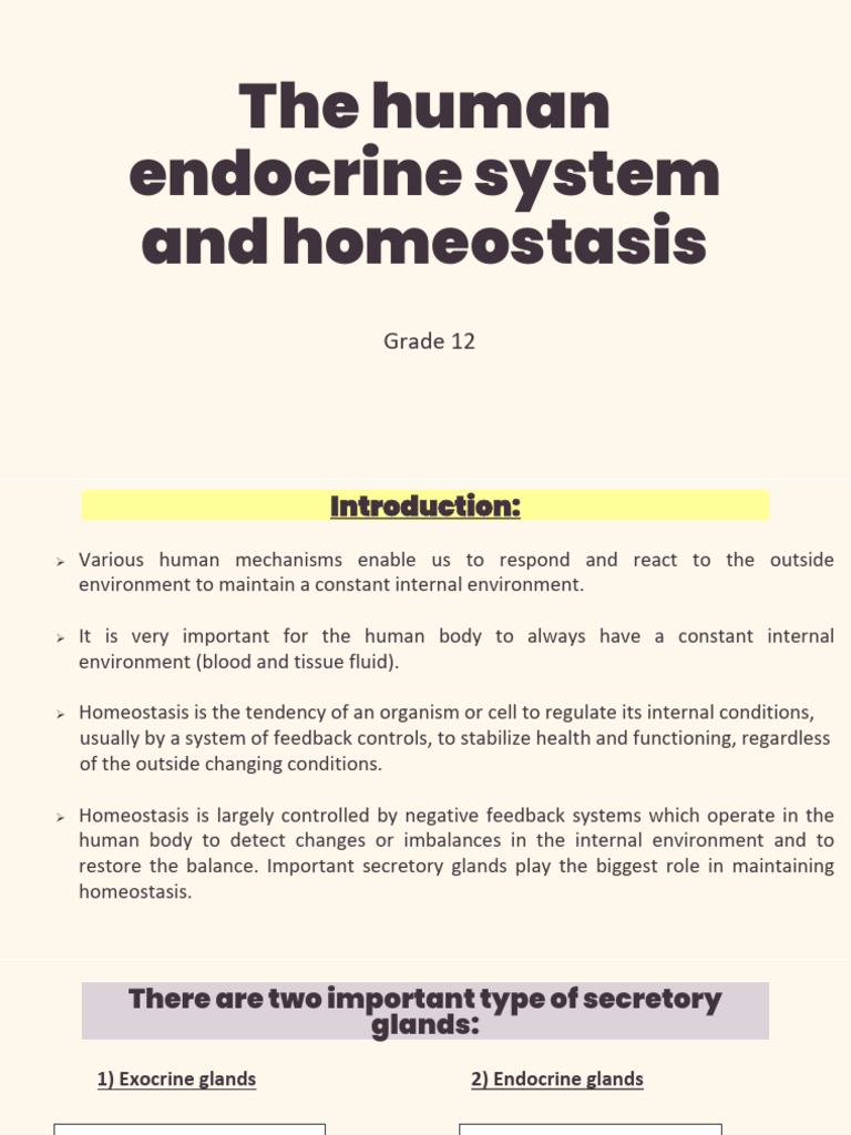 The Human Endocrine System and Homeostasis Grade 12 | PDF | Endocrine ...