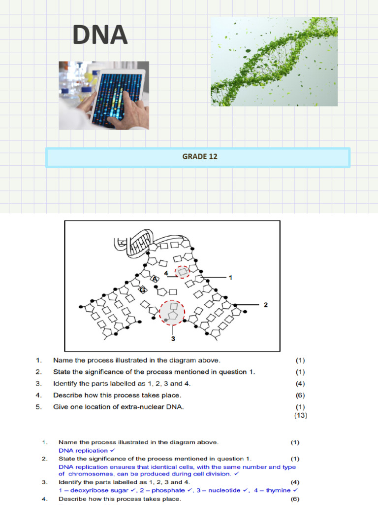 Dna Grade 12 | PDF | Self-Improvement | Wellness