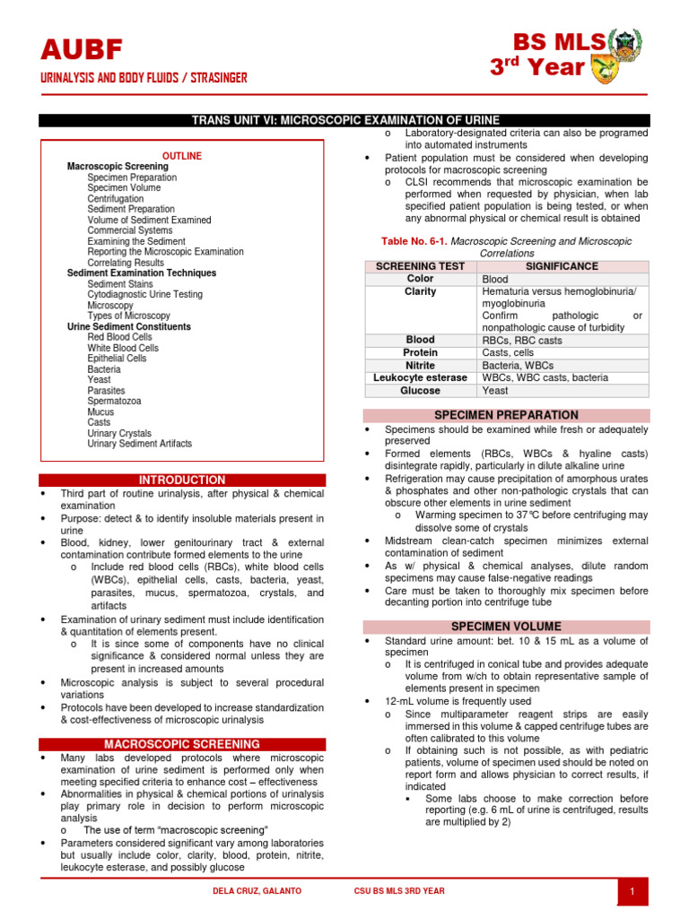 Microscopic Examination of Urine | PDF | Staining | Microscopy