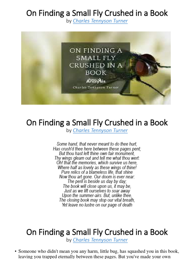 Poetry2 - On Finding A Small Fly - Analysis | PDF | Poetry