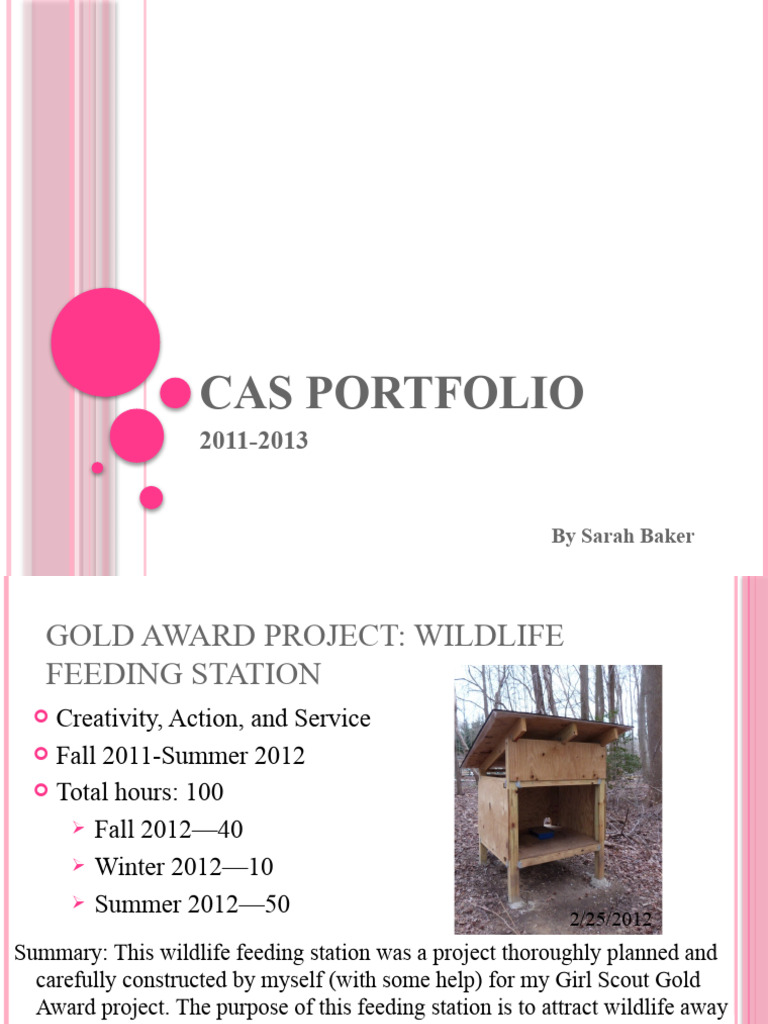 Sample CAS Portfolio | PDF Sample CAS Portfolio | PDF