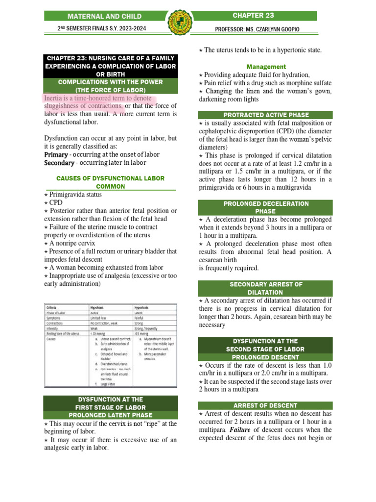 Chapter 23 | PDF | Childbirth | Placenta