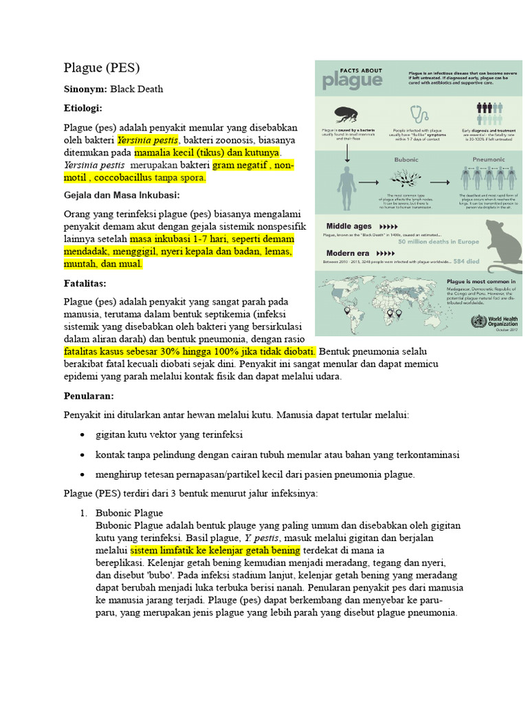 Plague | PDF | Kesehatan Holistik