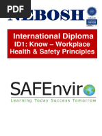 Principles of Sensible Risk Management | PDF