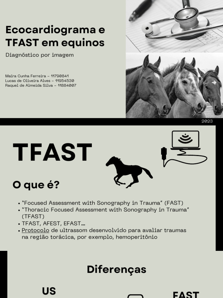 Ecocardiograma e TFAST em Equinos | PDF | Cavalos | Medicina Clínica