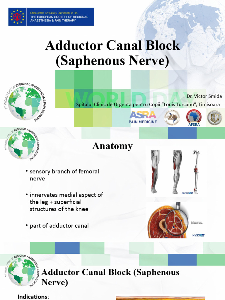 Adductor Canal Block (Saphenous Nerve) | PDF | Medical Ultrasound ...