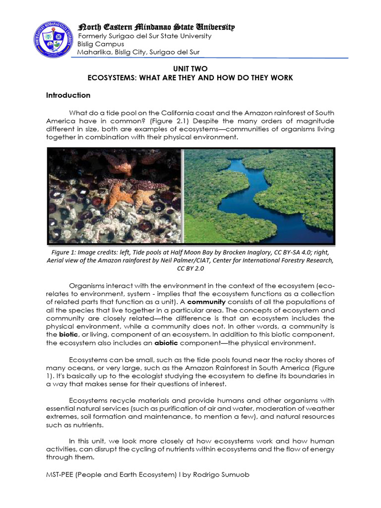 LESSON 4 - Earth Ecosystem | PDF | Ecosystem | Cell (Biology)