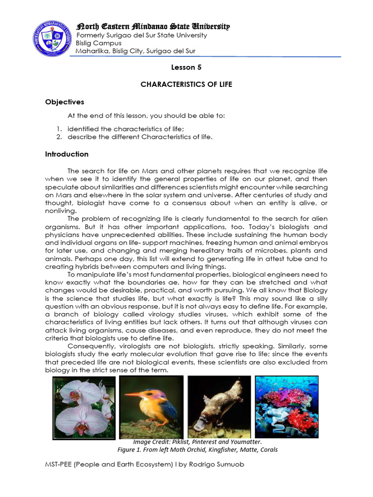 LESSON 5 - Characteristics of Life | PDF | Life | Organisms