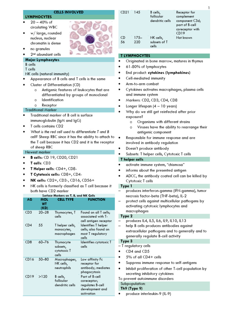 3.2 Adaptive Immunity | PDF | T Cell | T Helper Cell
