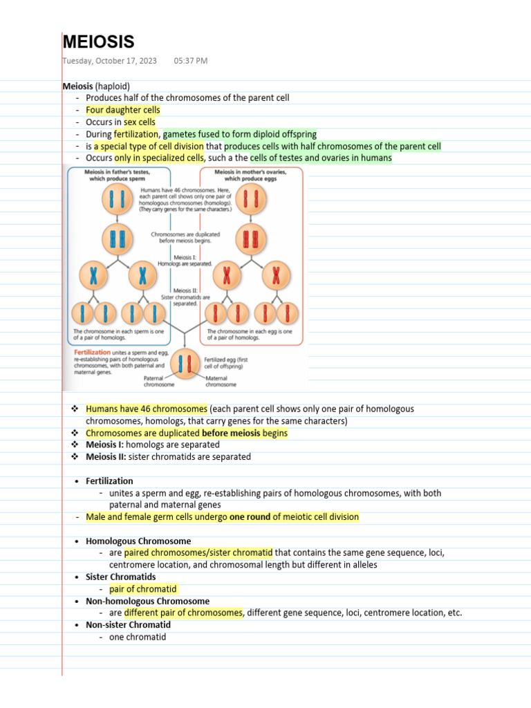 Meiosis Reviewer | PDF | Meiosis | Mitosis
