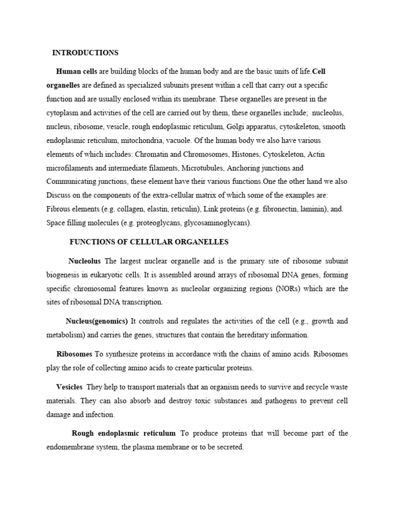 Ka Busy | PDF | Extracellular Matrix | Cell (Biology)