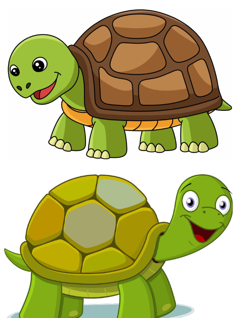 Tortoise Image Print | PDF